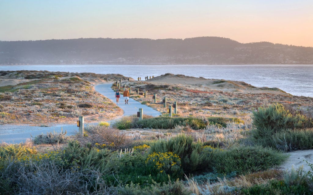 Monterey Bay Coastal Trail | BFS Landscape Architects | Planning ...