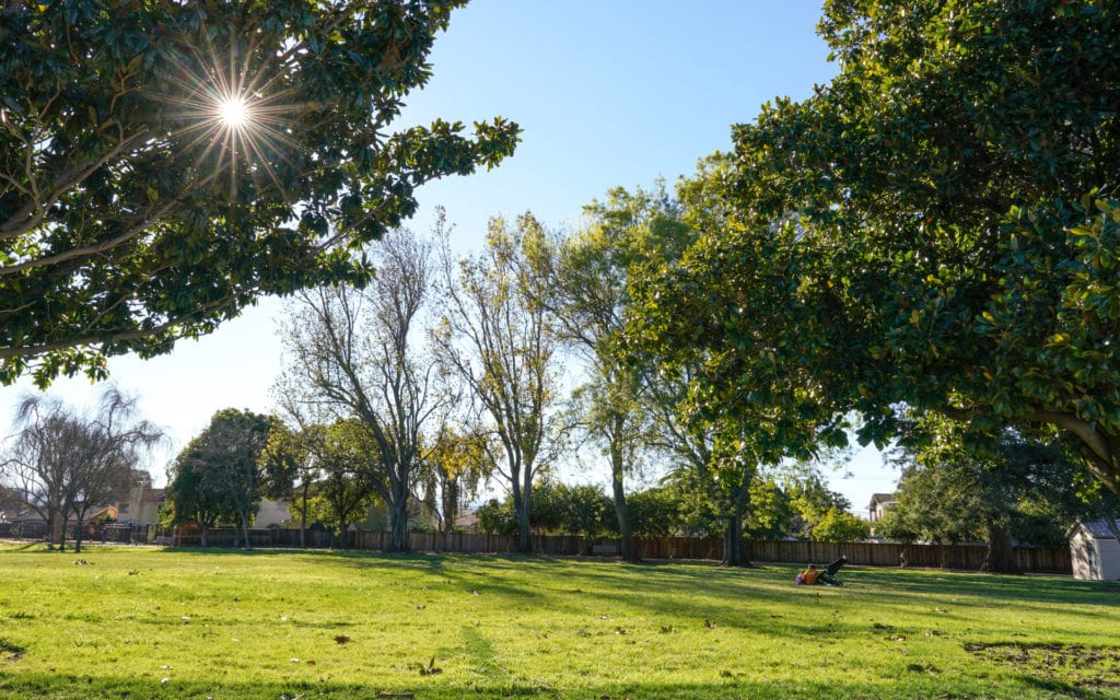 Creighton Park | BFS Landscape Architects | Planning, Design, Project ...