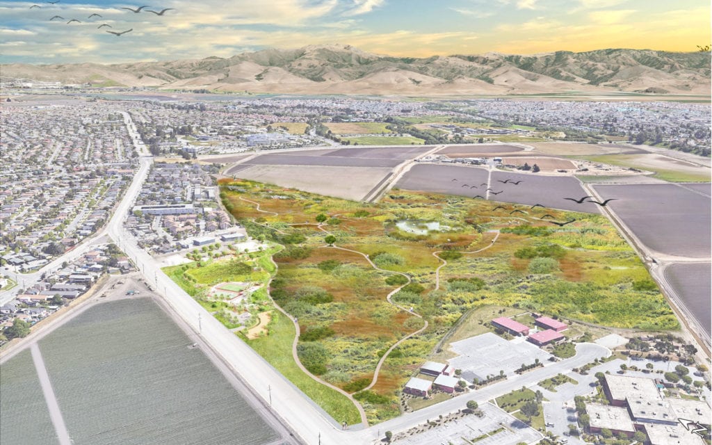 Ensen Community Park And Open Space | BFS Landscape Architects ...