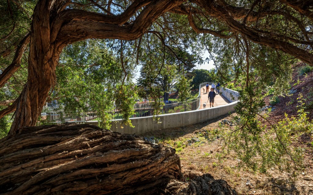 Francisco Park | BFS Landscape Architects | Planning, Design, Project ...